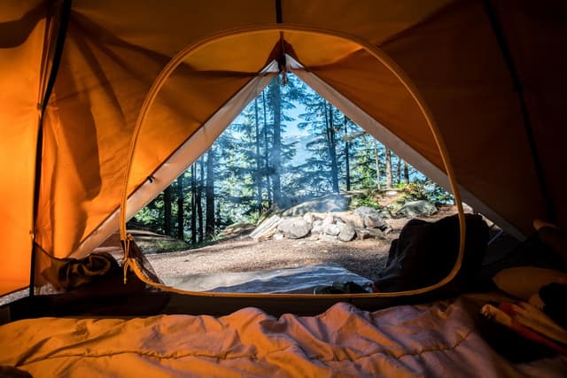 International Sleepaway Camps for Kids: 6 Options Across Europe for ...